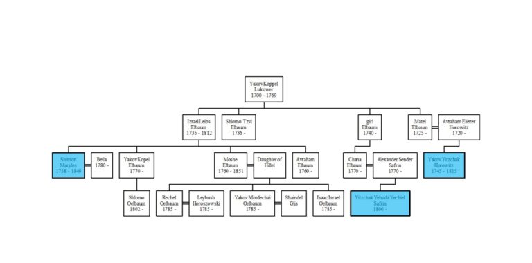Elbaum as an Example of the Adoption of Jewish Surnames in the Shadow ...